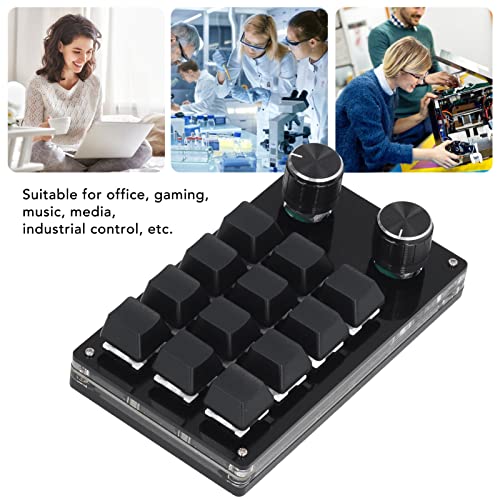 Yoidesu OSU Keypad 12 Key Gaming Keyboard, USB Mini 12 Key 2 Knobs Keypad Mechanical Gaming Keyboard, DIY Programming PC Keyboard, for Office, Game, Music, Media, Laboratory