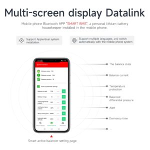 Daly Battery Equalizer 4S 1A with Bluetooth App and Wire Leads and Compatible Active Balancer for Lithium Battery Rated 3.7V 3.2V 2.2V