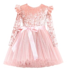 flofallzique girls tutu dress long sleeves toddler velvet tulle dresses for birthday party (2, dusty pink)