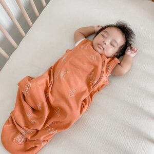 Ecolino Organic Cotton Baby Sleep Sack - 2-Way Zipper Baby Wearable Blanket - Toddler Sleeping Bag Sack - 18-36 Months - Desert