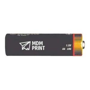 aa alkaline battery