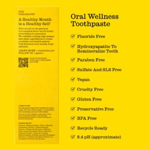 Twice Fluoride Free Hydroxyapatite Toothpaste, Gentle Charcoal Whitening. No Mess, Great Tasting, Complete Oral and Dental Care (ICY Mint Flavor - 1 Pack)