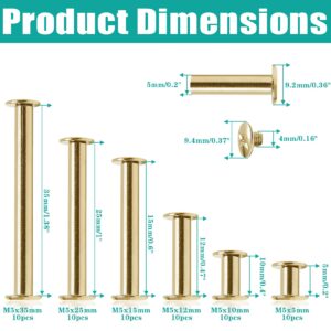 Uenhoy 60 Set Gold Chicago Screws Assorted Kit M5 x 5/10/12/15/25/35mm, Metal Screw Posts Nail Rivet Chicago Button for DIY Leather Crafts Bookbinding, Round Phillips Head Stud Screw