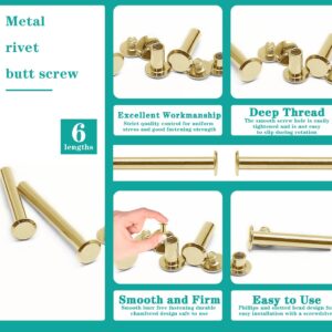 Uenhoy 60 Set Gold Chicago Screws Assorted Kit M5 x 5/10/12/15/25/35mm, Metal Screw Posts Nail Rivet Chicago Button for DIY Leather Crafts Bookbinding, Round Phillips Head Stud Screw