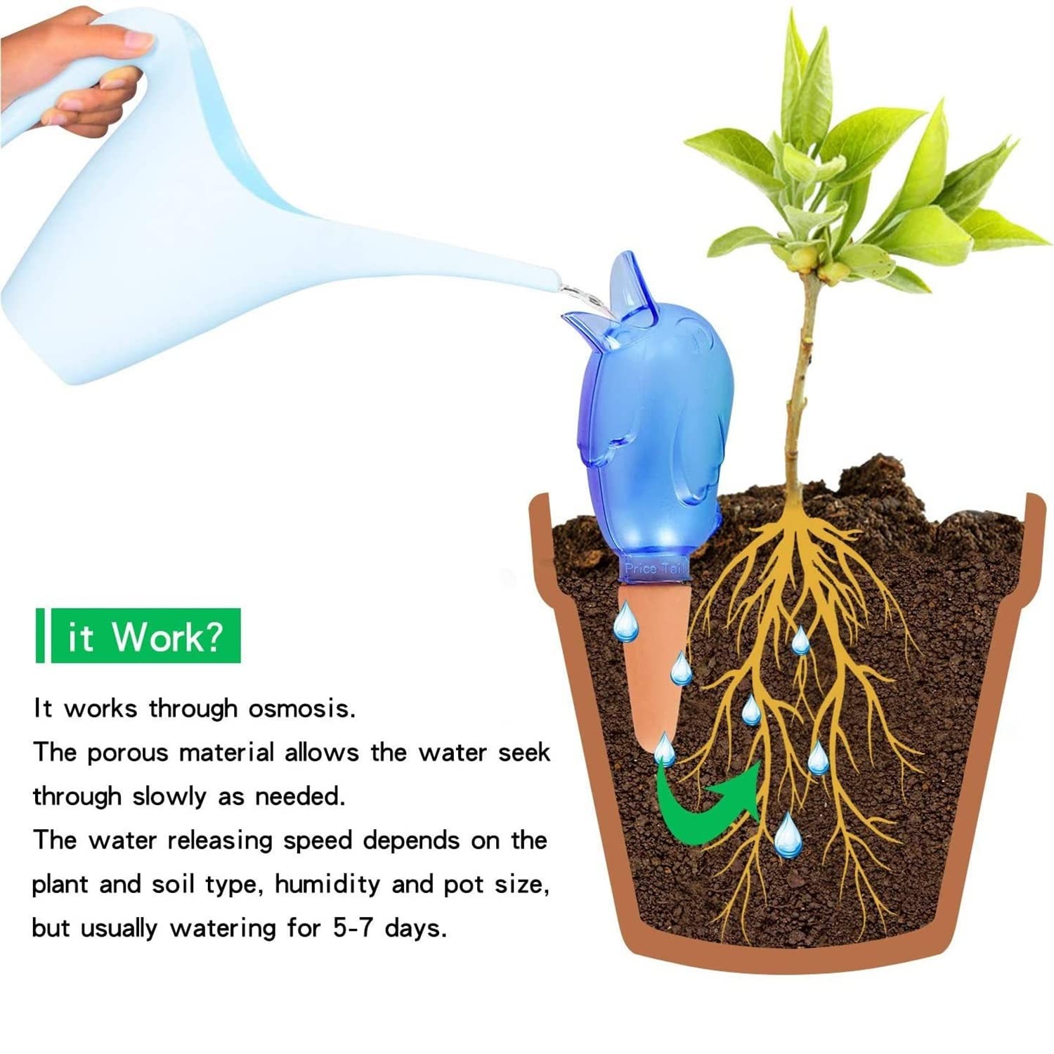 80ml Self Spike Planter Drip Watering Bird, 4pcs Plant Automatic Watering Nail, Make Plants Healthier Automatic Drip Irrigation Automatic Waterer for Indoor and Outdoor Plants with Wet Roots (4Pcs)