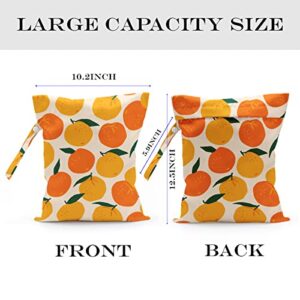 zcyxuuw Wet Bag, Wet Dry Bag, Wet Bag for Swimsuit, Travel, Beach, Pool, Diapers, Dirty Yoga Gym Clothes, Makeup Bag, Waterproof Reusable Fruit Decor Orange Strawberry