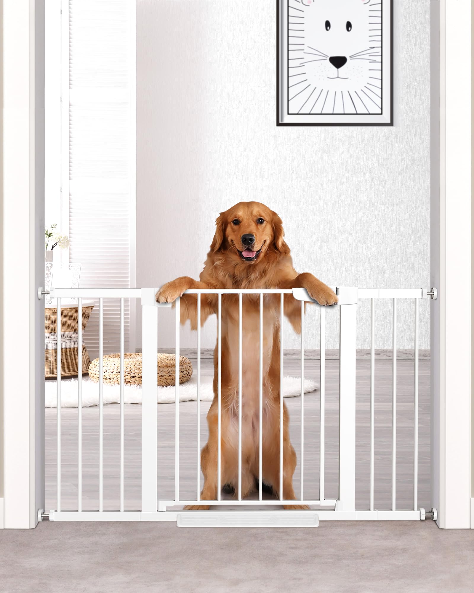 Cumbor 36" Extra Tall, 29.7"- 40.6" Width Baby Gate & Cumbor 30.5" Tall, 29.5"-51.6" Width Dog Gate for House, Stairs, Doorways