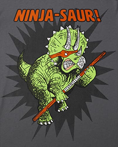 The Childrens Place Boys' Dino Long Sleeve Graphic T-Shirts, Ninjasaur, Medium (7/8)