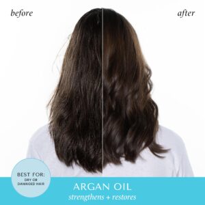 HASK Argan Restoring Set: 2 Argan Shine Hair Oil Vials and 1 Argan Shampoo and Conditioner Set