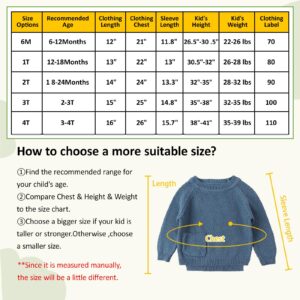 Peecabe Toddler Baby Girl Boy Cable Knit Sweater Cotton Infant Pullover Crewneck Long Sleeve Sweatshirt Fall Winter (Haze Blue, 6M)