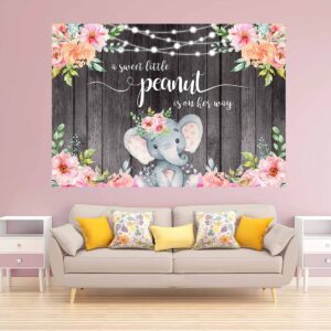 Avezano Elephant Baby Shower Backdrop for Girl Pink Floral Elephant It's a Girl Background Little Peanut Baby Shower Decorations Banners 7x5ft