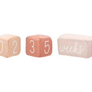 Little Pear Plush Milestone Blocks, Baby Month Plush Blocks, New and Expecting Moms Gift, Baby Age Milestone Keepsakes, Newborn Photo Props