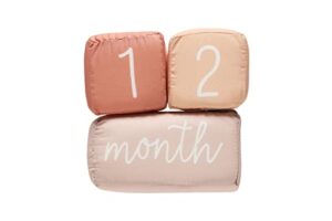 little pear plush milestone blocks, baby month plush blocks, new and expecting moms gift, baby age milestone keepsakes, newborn photo props