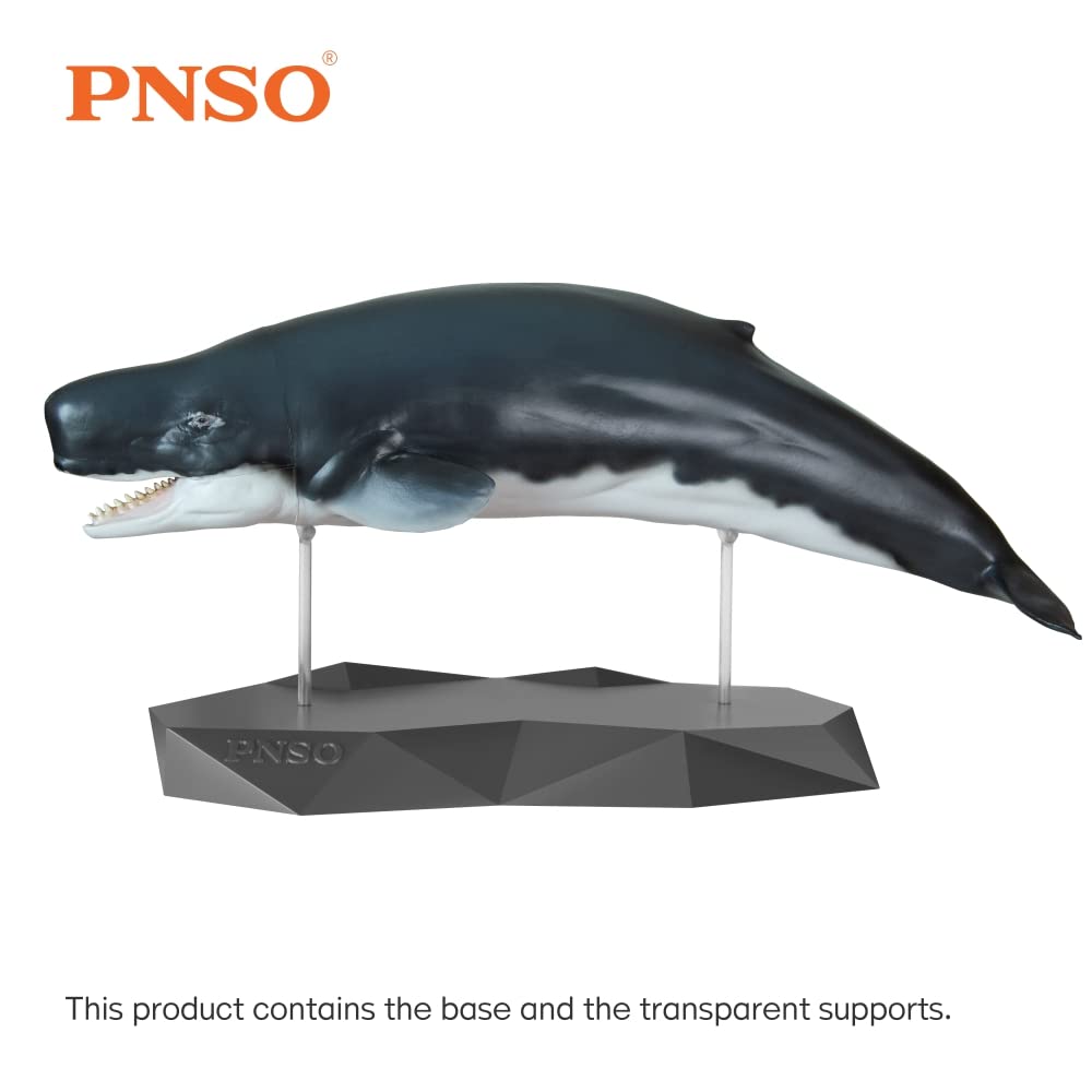 PNSO Scientific Art Model Stand/Holder V2