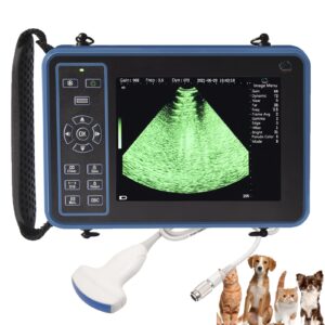 ultrasound machine for pregnancy 3.5mhz veterinary b-ultrasound scanner convex probe, for sheep, dog, cat and pig detect, 8 color panels, 256fps video recording