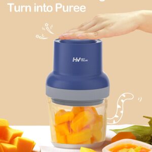 HEYVALUE Baby Food Maker, 13-in-1 Baby Food Processor Sets, Fruit, Vegatable, Meat, Food Puree Blender with Baby Food Containers, Food Freezer Tray, Silicone Spoons, Silicone Spatula (Dark Blue)