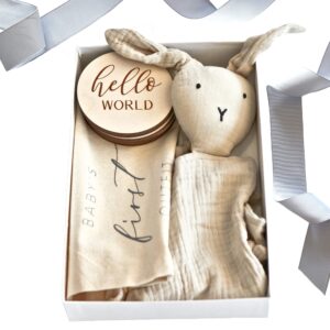 baby gift box - handcrafted welcome baby gift set - choose 5 or 3-pack baby shower including milestones, closet dividers, & more. +additional item: birth stat disc. (months set 3-pack)