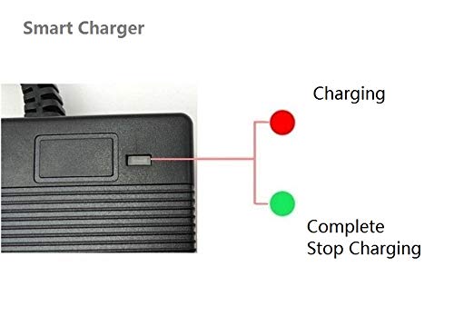 3 Amps Smart Charger Compatible with eAhora X7 E-PAS Electric Bike