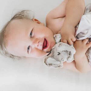 Lucy Darling Little Animal Lover Security Blanket Soft Baby Lovey Baby Gifts for Newborn Boys and Girls Baby Snuggle Toy Baby Elephant Stuffed Animal