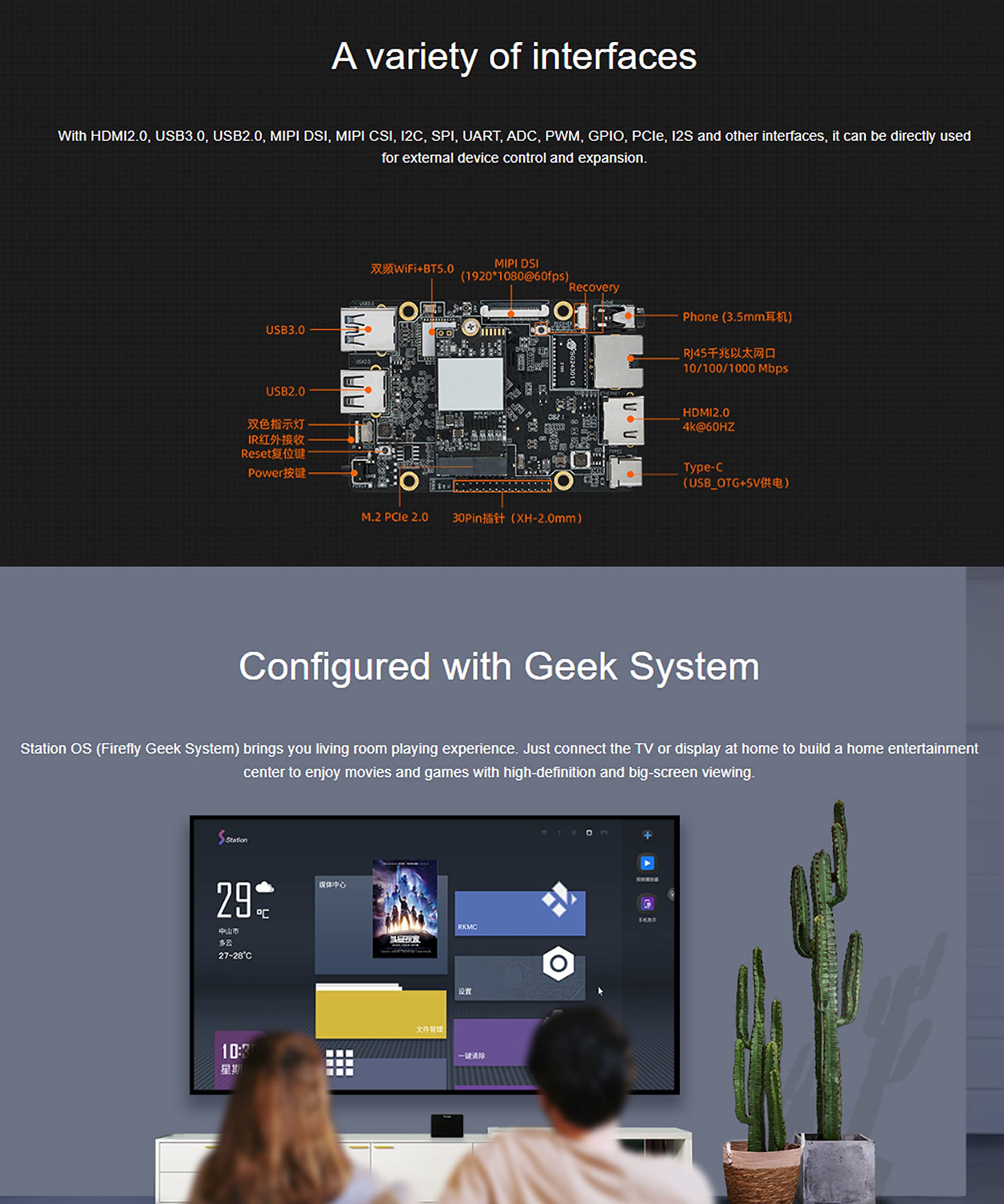 Firefly EC-R3566PC RockChip RK3566 Embedded AI IoT Single Board Computer Onboard 4GB RAM + 32GB eMMC Gigabit Ethernet Ports for Smart NAS and Cloud Server Support Android 11.0 Ubuntu