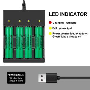 LED Flashlights 4-pcs Rechargeable Batter￵y and Battery Charger 4 Bay Dual Power Flashlight with Clip 5 Modes Water Resistant High Lumen for Hiking Camping Hunting Fishing (Green)