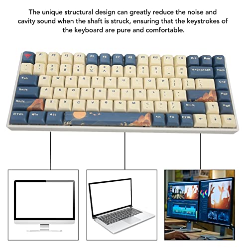 Dilwe Wireless Mechanical Keyboard, 2.4G USB Bluetooth Mechanical RGB Keyboard, 84 Key Compact Gaming Keyboard, Portable Mini Keyboard for Desktop, Laptop(Silver Switch)