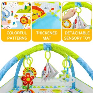 Dr.Rapeti Baby Play Gym Mat with Ball Pit Activity Gym Center Tummy Time Mat Thickened Mat Sensory Exploration Motor Skill Development for Newborn Infant Baby Toddlers