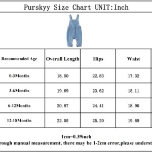 PURSKYY Baby Girls Overalls Jumpsuit Baby Denim Romper Outfits Infant Girls Jeans Jumper Bodysuit Newborn Jeans Overalls Baby Girls Bell Bottoms Playsuit, Blue, 6-12 Months