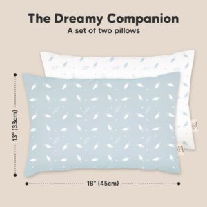 2-Pack Toddler Pillow - Soft Organic Cotton Toddler Pillows for Sleeping - 13X18 Small Pillow for Kids - Kids Pillows for Sleeping - Kids Pillow for Travel, School, Nap, Age 2 to 5 (Spacecrafts)