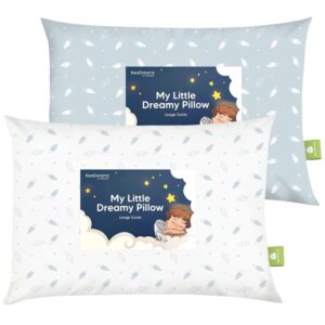 2-pack toddler pillow - soft organic cotton toddler pillows for sleeping - 13x18 small pillow for kids - kids pillows for sleeping - kids pillow for travel, school, nap, age 2 to 5 (spacecrafts)