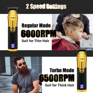 HINSN Men's Cordless Hair Clippers, Rechargeable Beard Trimmer with LED Display, Low Noise Body Haircut, Painless Cutting, Gift for Dad and Husband