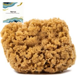 naroa massage natural shower sponge | unbleached body scrubber puff | bath sponge for healthy skin | eco friendly sustainable sea sponge (massage - x large)