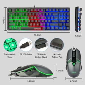 Gaming LED Keyboard and Mouse Combo,Compact 89 Keys with Numbric Tenkeys Pad,Rainbow Backlit,Ergonomic Mice 2 Side-Button USB Wired 75% Mechanical Feel for Computer PC Laptop PS5 (Compact Layout)