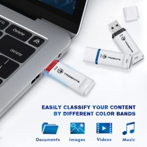 TRIDENITE USB Drive 3-Pack 32GB USB 2.0 3X Standard White Flash Drives