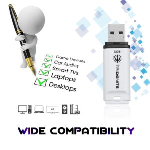 TRIDENITE USB Drive 3-Pack 32GB USB 2.0 3X Standard White Flash Drives