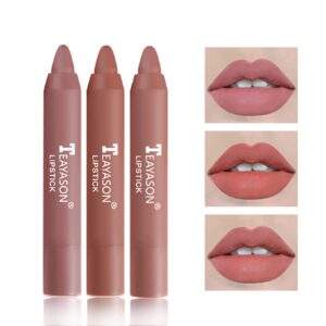 xingxyuel 3pcs nude lipstick set matte lip stick waterproof long lasting lipstick non-stick cup velvet lip gloss lip stain professional lip makeup matte lipstick set b