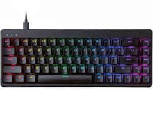 elecom gaming v custom vk300 mini 65% rgb gaming keyboard, backlit wired mechanical keyboard, speed silver linear switches, n-key rollover, detachable braided cable, doubleshot keycaps (tk-vk300sbk)