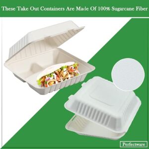 Perfectware 100% Compostable 3 Comp Take Out Food Containers 9x9". 25 Containers, Natural Disposable Bagasse, Eco-Friendly Biodegradable Made of Sugar Cane, Green (PW3comptbagasse-25ct)