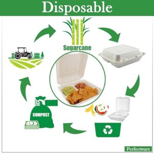 Perfectware 100% Compostable 3 Comp Take Out Food Containers 9x9". 25 Containers, Natural Disposable Bagasse, Eco-Friendly Biodegradable Made of Sugar Cane, Green (PW3comptbagasse-25ct)