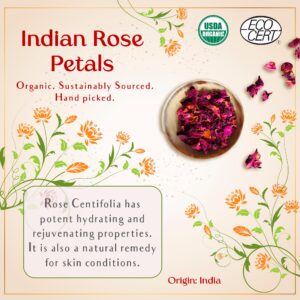 SAFA Rosé Oil - Organic Oil for Face, Body, Hair, Nails & Aromatherapy | Bulgarian Rose Essential Oil & Organic Floating Rose Petals | Moisturizer for Women & Men - 4 Fl Oz (1)