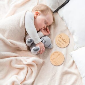 Toyvian 1 Set Baby Monthly Milestone Photo Cards, Wooden Baby Announcement Cards, Double Sided Photo Prop Milestone Discs, Pregnancy Journey Milestone Markers, Light Wood