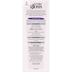 L'Oreal Paris Le Color Gloss One Step Toning Gloss, In-Shower Hair Toner with Deep Conditioning Treatment Formula for Gray Hair, Silver Slate, 1 Kit