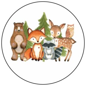 30 pcs woodland girl raccoon birthday baby​​​​​​​​​​​​ stickers envelope seals labels round tags, stamps sticker for gift cards, envelopes, boxes for holiday, birthday, christmas