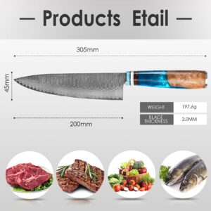 Chef Knife, Professional Japanese VG10 Damascus Steel Kitchen Chefs Knife 8 Inch, Razor Sharp Professional Meat Cutting Knife with Gift Box for Family, Restaurant