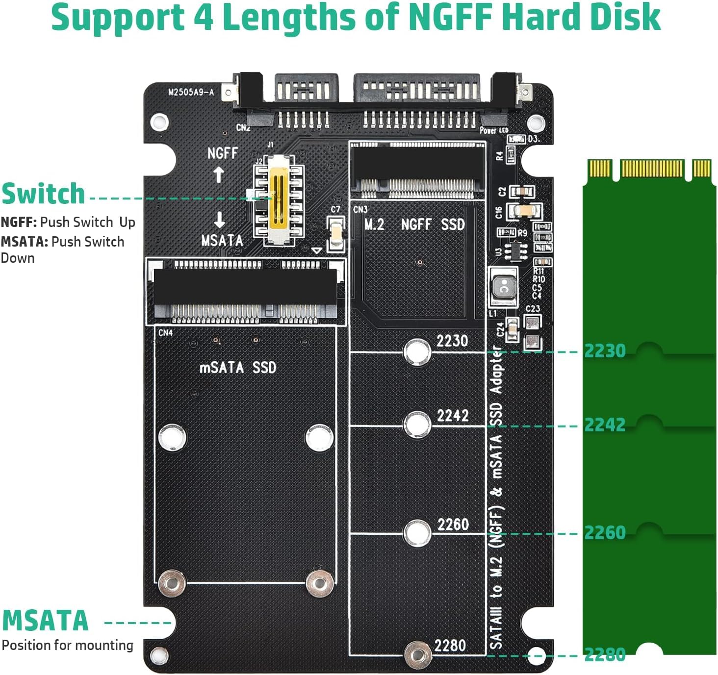 ELUTENG M.2 SATA to SATA Adapter (Not Support NVME/M.2 PCIE) MSATA and B Key/B&M Key M.2 NGFF SDD to 2.5" SATA III 2 in 1 Converter Supports MSATA/M.2 NGFF SSD Not for M Key