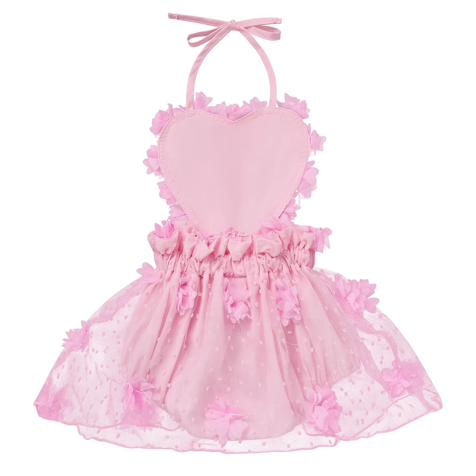 Baby Girls 1st Birthday Outfit Heart Lace Romper Flower Tutu Princess Dress with Tulle Skirt Sleeveless Backless Jumpsuit Sunsuit Playwear Dress Cake Smash Photo Shoot Clothes Pink Flower 18-24 Months