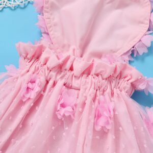 Baby Girls 1st Birthday Outfit Heart Lace Romper Flower Tutu Princess Dress with Tulle Skirt Sleeveless Backless Jumpsuit Sunsuit Playwear Dress Cake Smash Photo Shoot Clothes Pink Flower 18-24 Months