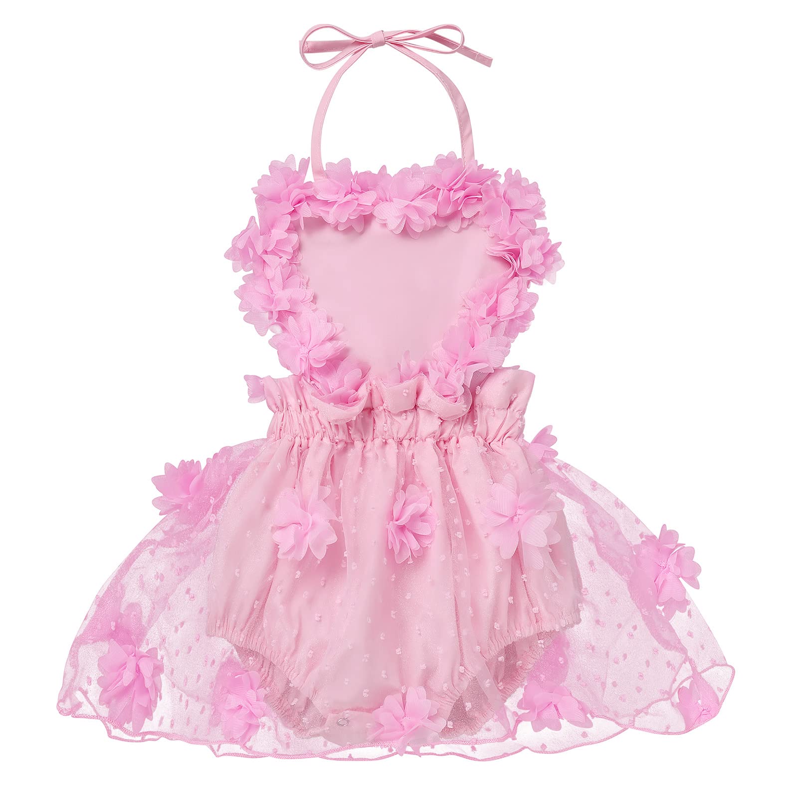 Baby Girls 1st Birthday Outfit Heart Lace Romper Flower Tutu Princess Dress with Tulle Skirt Sleeveless Backless Jumpsuit Sunsuit Playwear Dress Cake Smash Photo Shoot Clothes Pink Flower 18-24 Months