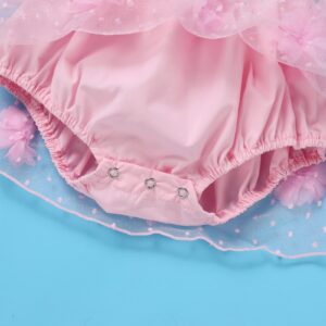 Baby Girls 1st Birthday Outfit Heart Lace Romper Flower Tutu Princess Dress with Tulle Skirt Sleeveless Backless Jumpsuit Sunsuit Playwear Dress Cake Smash Photo Shoot Clothes Pink Flower 18-24 Months