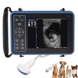 ultrasound machine for pregnancy, 3.5mhz veterinary b-ultrasound mechanical sector probe, for sheep, dog, cat and pig detect, 8 color panels, 256fps video recording, with volume heart rate measurement